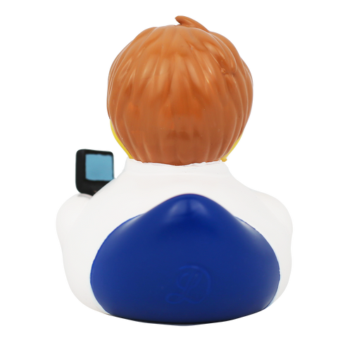 IT Developer Rubber Duck by LiLaLu | Ducks in the Window