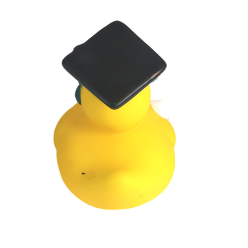 The Graduation Rubber Duck | Ducks In The Window