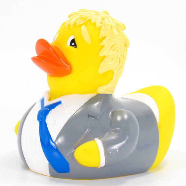 Medium Ducks - Famous - Ducks In The Window®