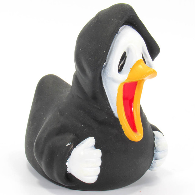 Scream Rubber Duck| Ducks In The Window