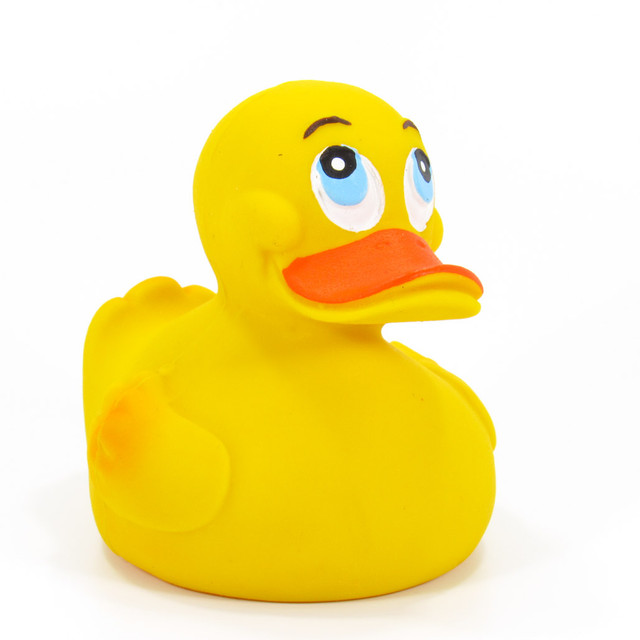 Levi Yellow Duck by Lanco 100% Natural | Ducks in the Window®