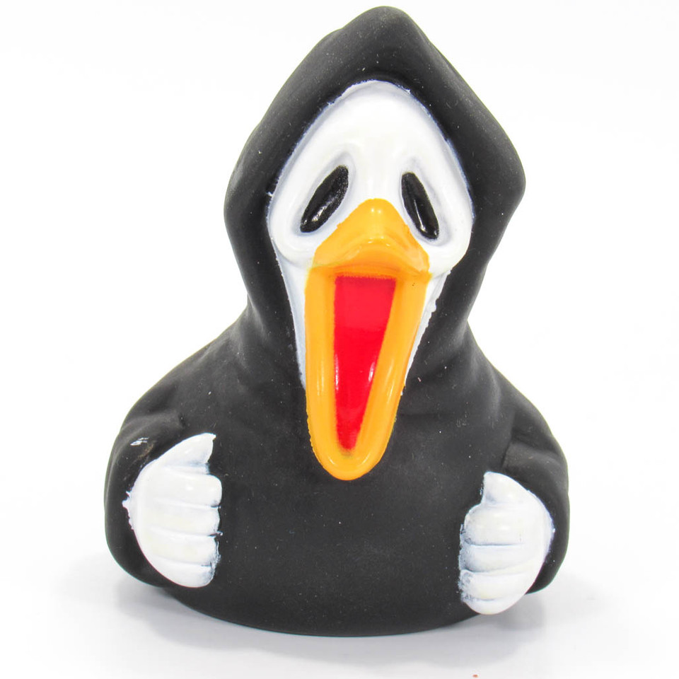 Guinness World Record Larges Rubber Duck Collection - Ducks In The Window®