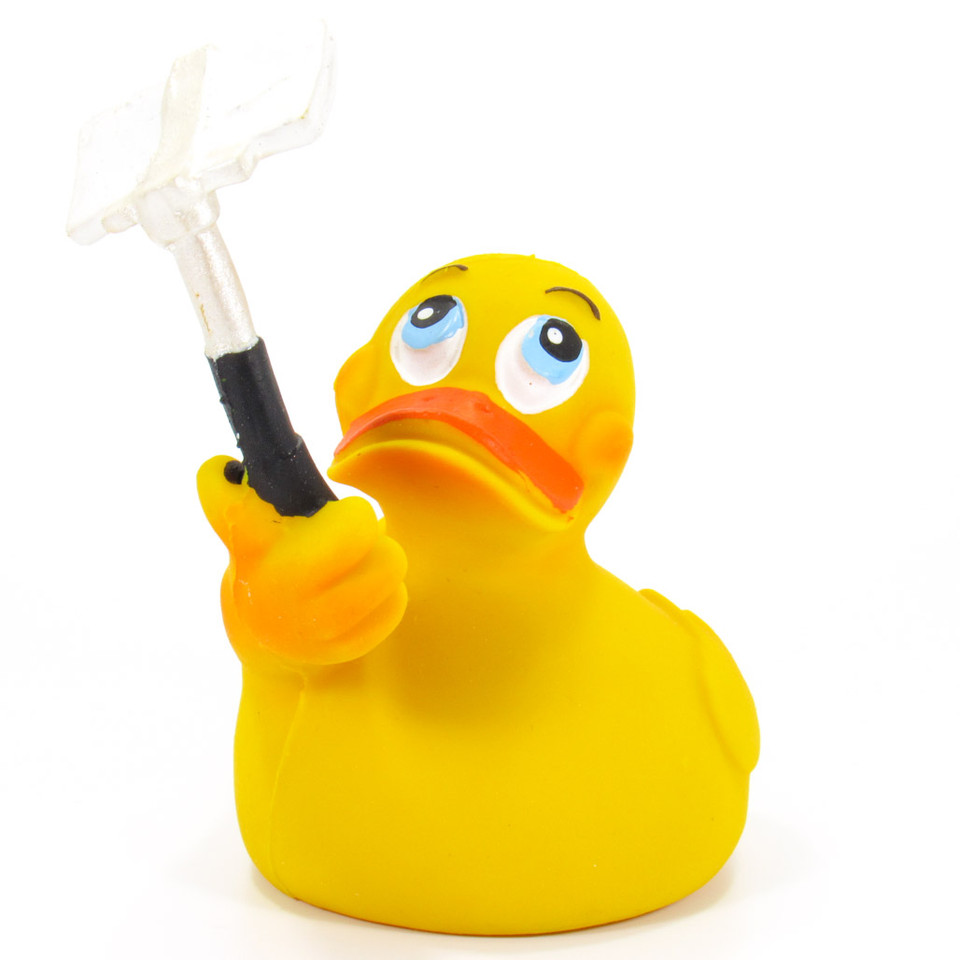 Selfie Rubber Duck | Ducks in the Window®