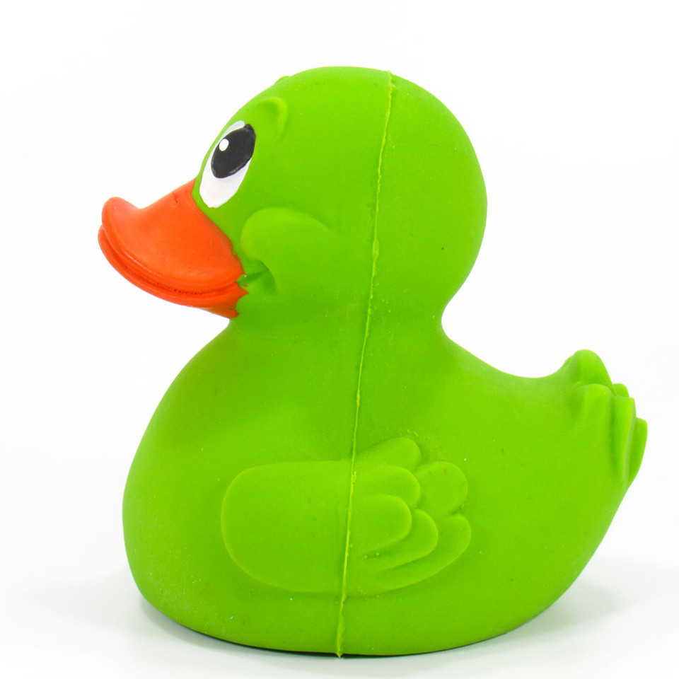 Green Rubber Duck | Ducks in the Window®