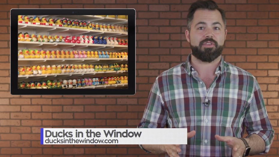Ducks in the Window NewsWatch Review! - Ducks In The Window®