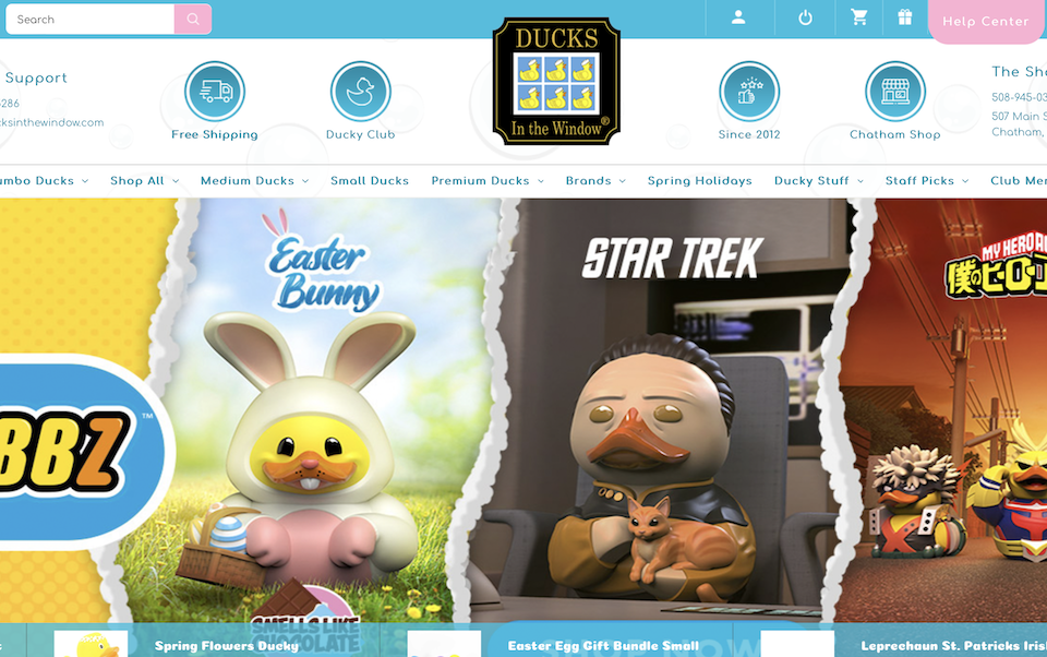 Ducks in the Window "New" Website Launch - Ducks In The Window®