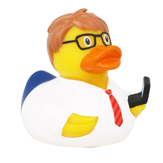 IT Developer Rubber Duck by LiLaLu | Ducks in the Window