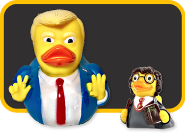 Ducks in the Window | Over 1000 styles of Rubber Ducks to match most ...