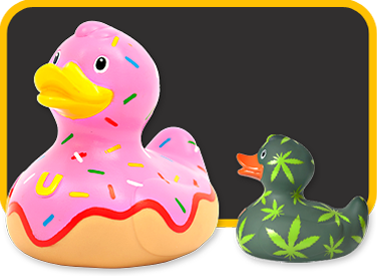 Ducks in the Window | Over 1000 styles of Rubber Ducks to match most ...