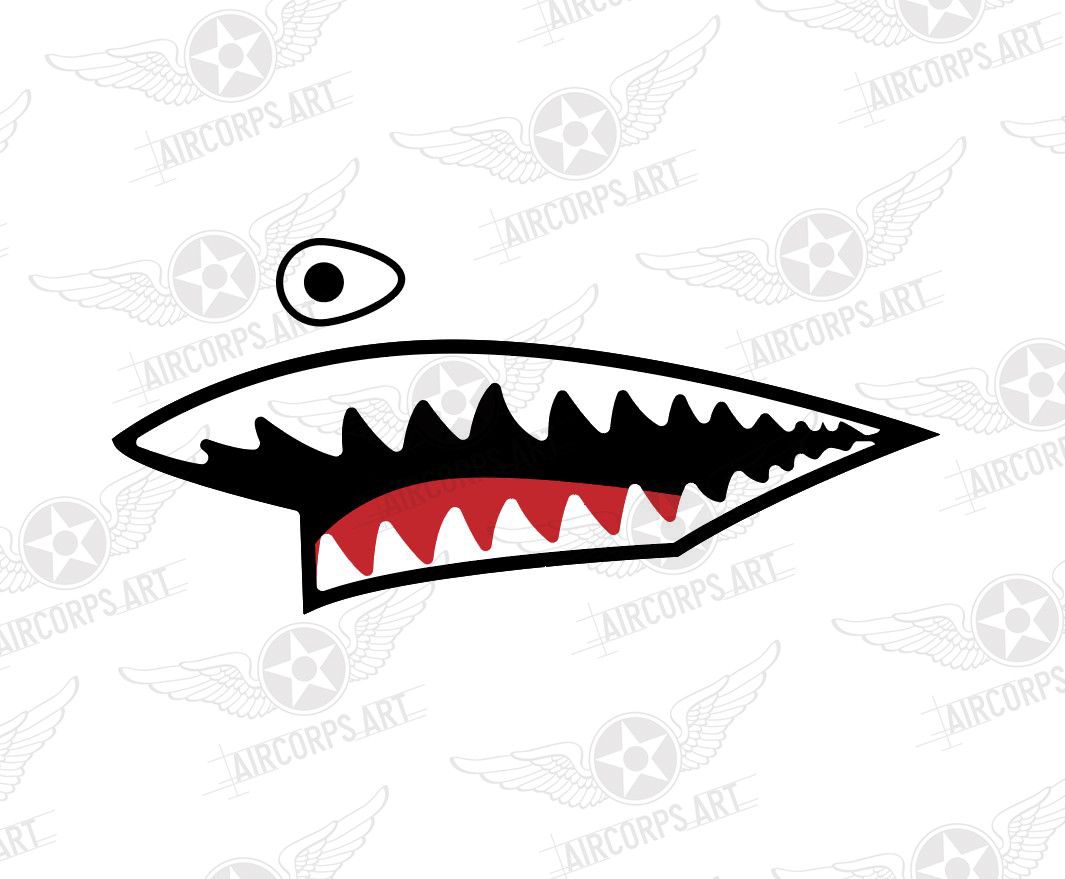 Shark Mouth Teeth Nose Art Military Aircraft Decal SM-02