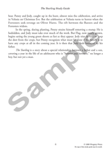 The Yearling Study Guide | Progeny Press Literature Curriculum
