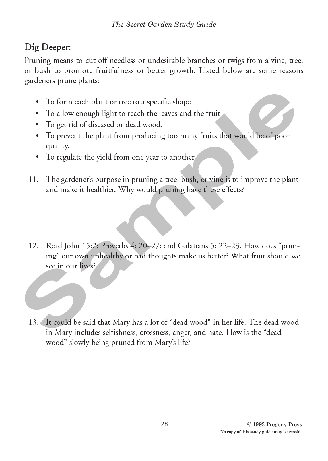 The Secret Garden PDF Download Study Guide | Progeny Press Literature ...