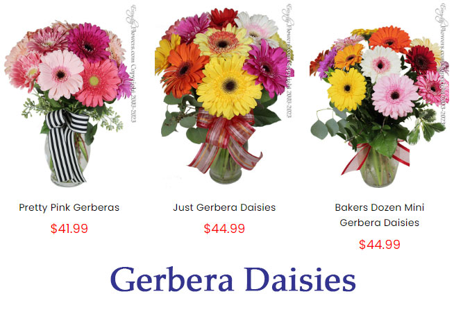Everyday Flowers - Orange County, CA Flower Delivery