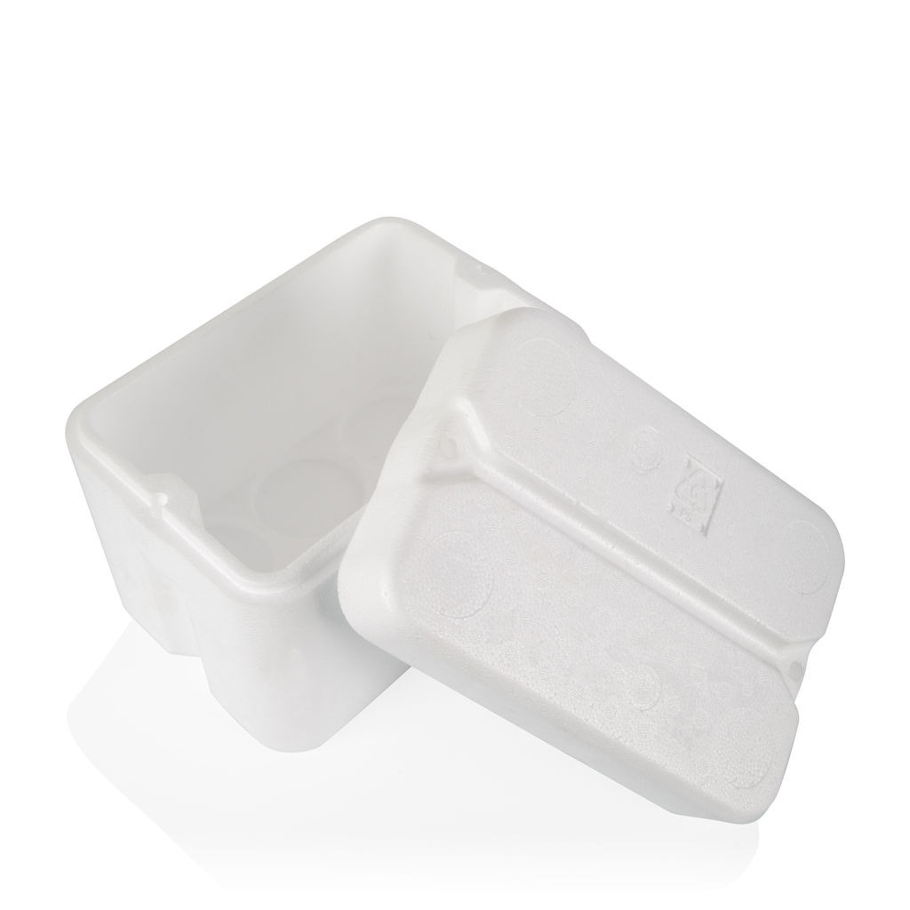 6 Pack Foam Esky - Plasdene Glass-Pak Pty Ltd