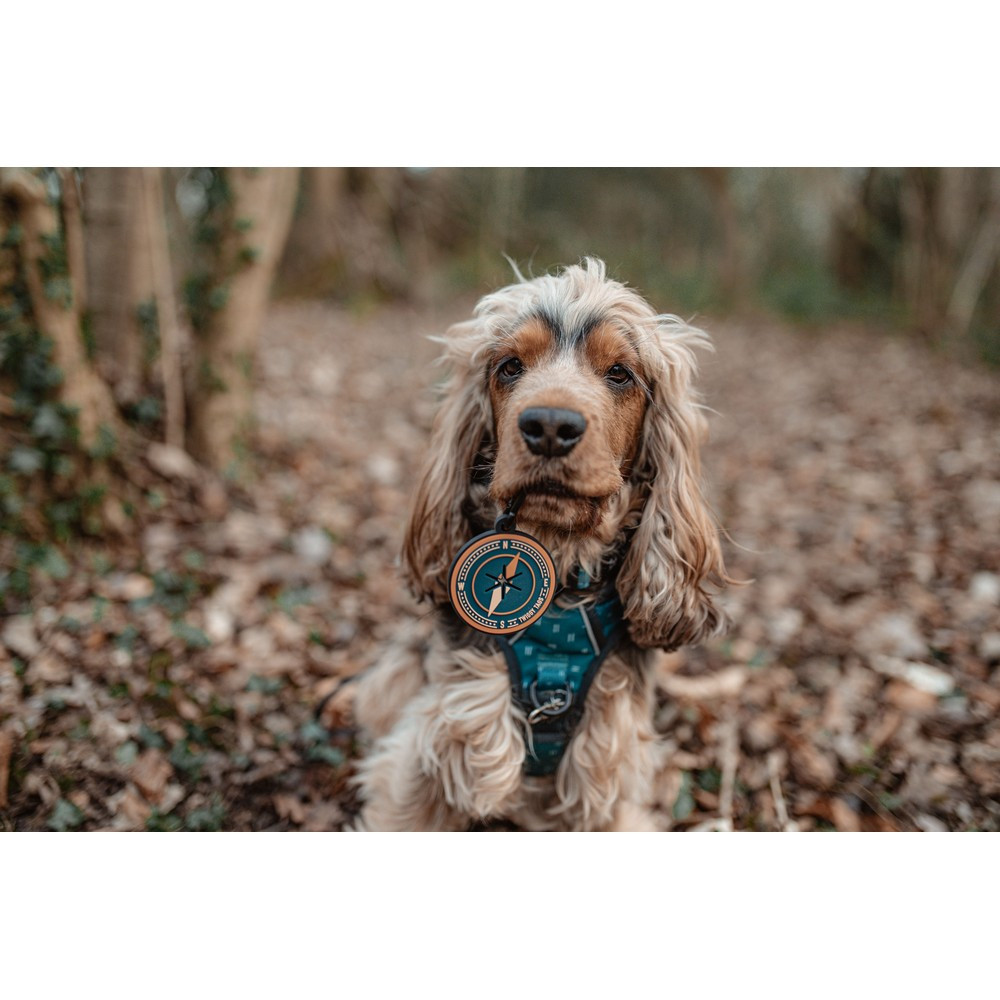 Twiggy Tags Porta Poop Navigation | Just for Pets