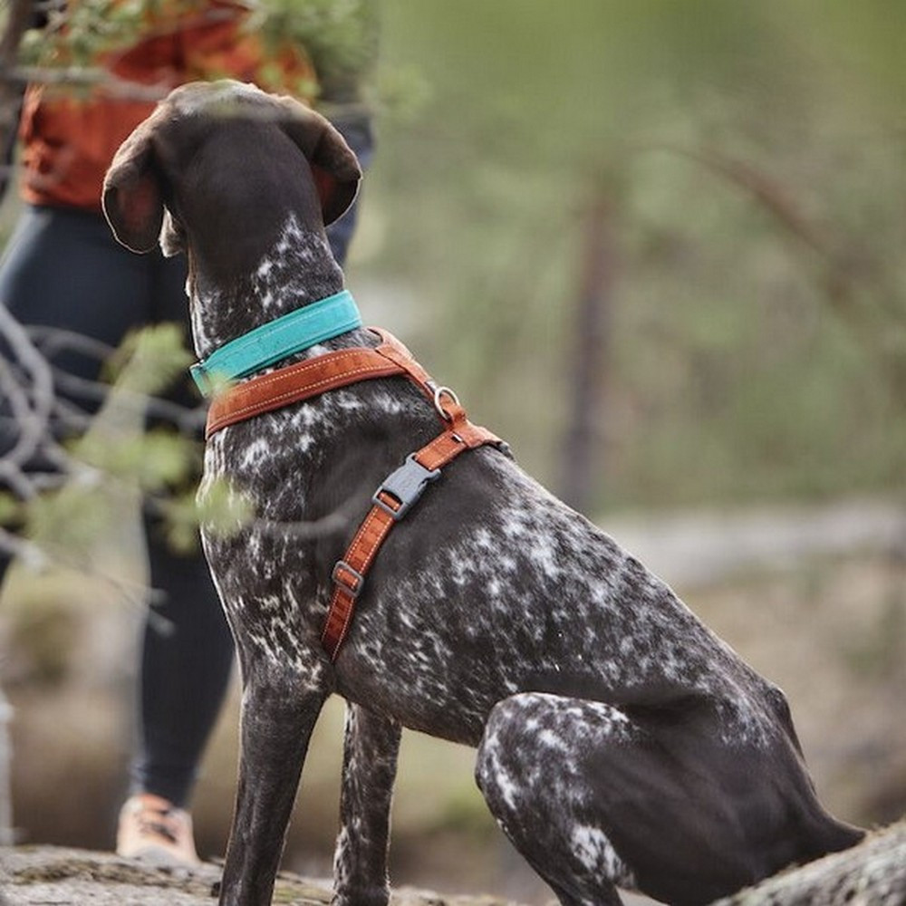 Hurtta Casual Y-Harness ECO Raven - Eco-Friendly Dog Harness for ...