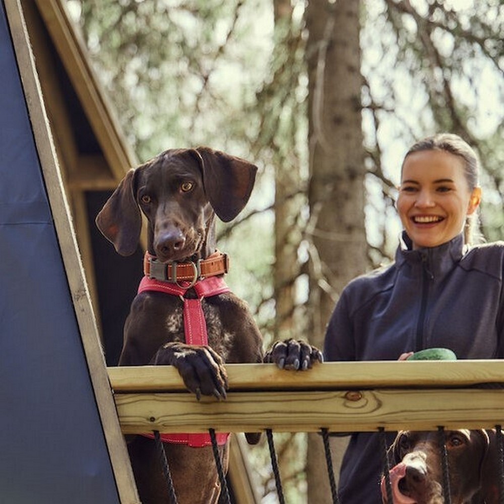 Hurtta Casual Y-Harness ECO Ruby | Just for Pets