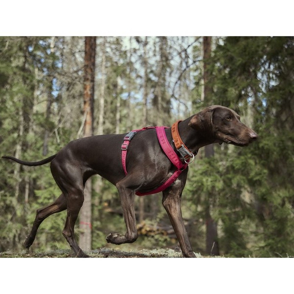 Hurtta Casual Y-Harness ECO Ruby | Just for Pets