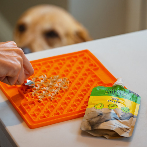 Natures Deli Chicken Paste 100g | Just for Pets