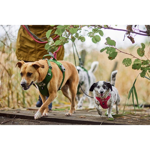 Hurtta Weekend Warrior Harness II ECO Ruby | Just for Pets