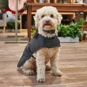 New Barbour Spring/Summer Fashion Range Now Available - Just For Pets