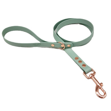 Trinkety Paws Biothane Lead Sage | Just for Pets