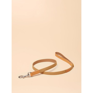 Shop the Joules Tan Lead - Stylish & Durable Dog Lead for Fashionable Pets