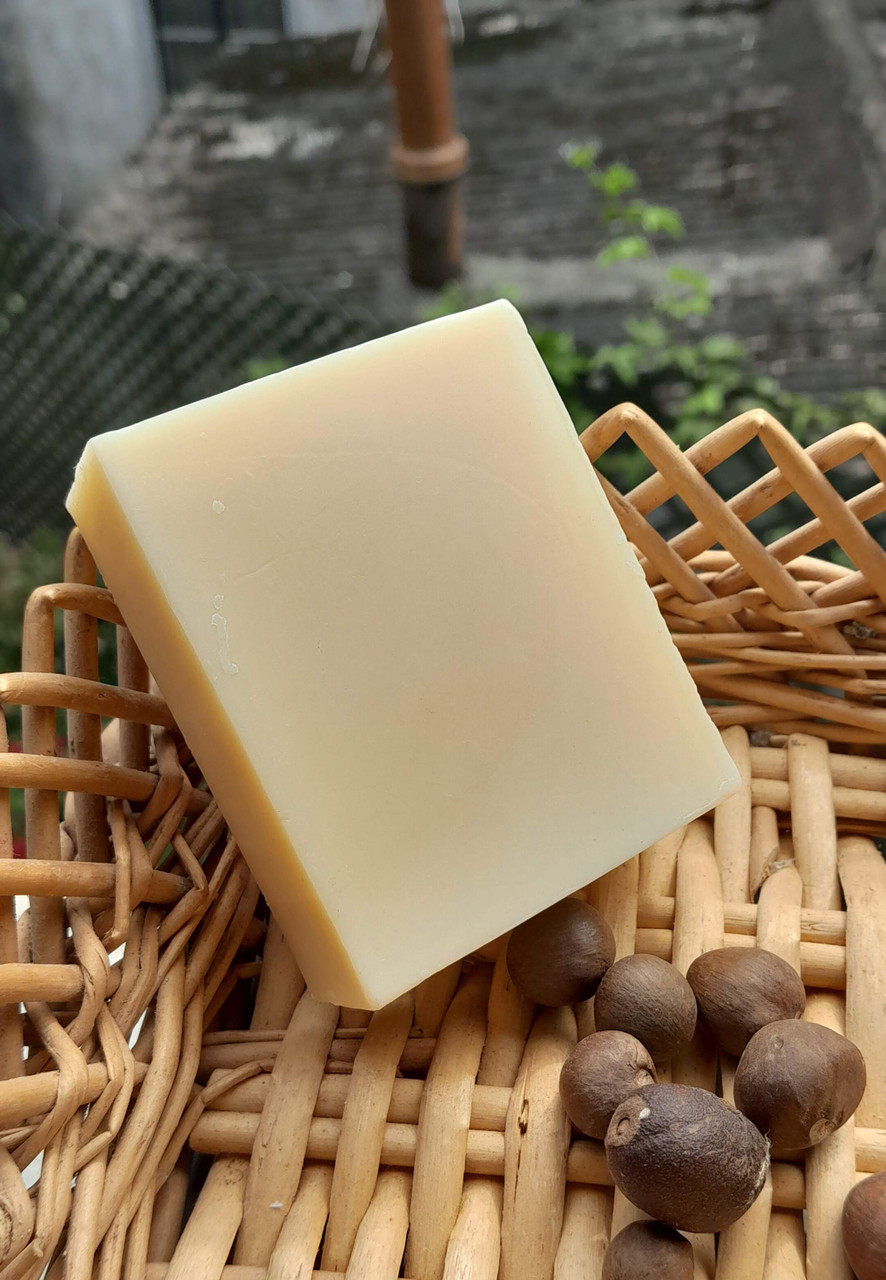 Tea Seed Oil Soap | Handmade | Unsented | Pure Camellia Oil Soap