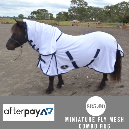 Miniature Fly Mesh Combo Rug - Unicorn Equestrian Goods
