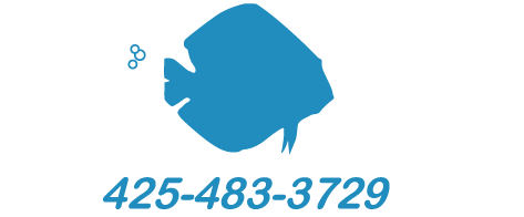 Discus Fish Unique Colors - Mac's Discus Fish For Sale