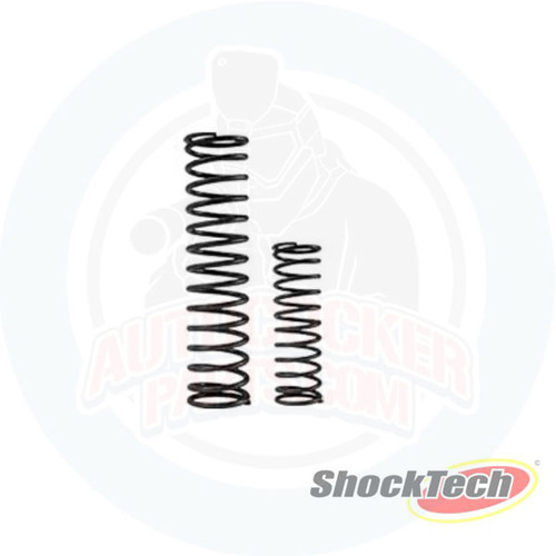 Shockteck Autococker Valve & Hammer Spring Set
