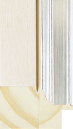 Adams 50mm White SSE Wood Moulding - Mainline Mouldings
