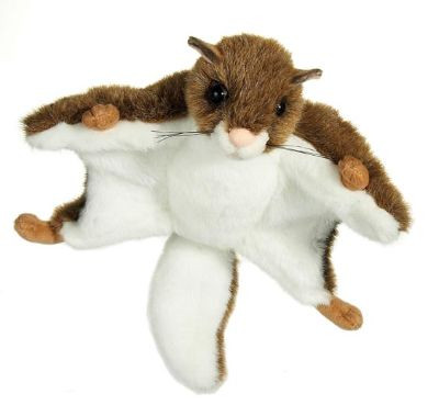 Flying Squirrel Plush