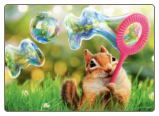 Chipmunk Mother's Day Card