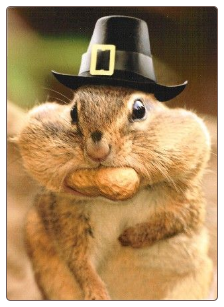Chipmunk Thanksgiving Card