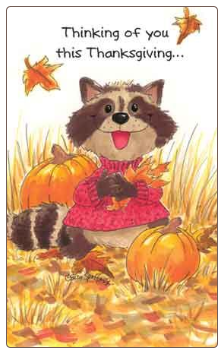 Raccoon Thanksgiving Card