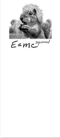 E=mc Squirrel Magnetic Notepad