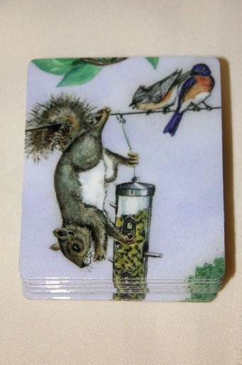 Squirrel and Bluebird Magnet