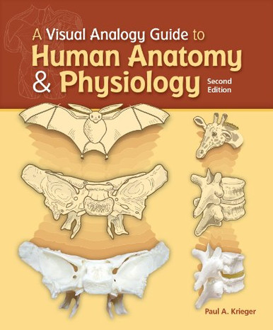 A Visual Analogy Guide to Human Anatomy and Physiology - superdealbookstore