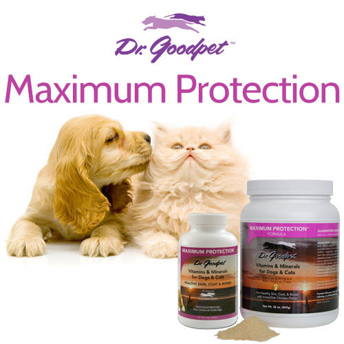 Dr. Goodpet - Maximum Protection Formula