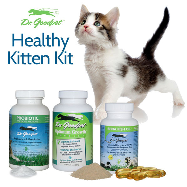 Dr. Goodpet Healthy Kitten Kit - All-Natural Medicine for Kittens