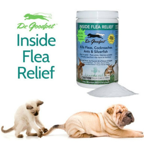 Dr. Goodpet Inside Flea Relief - The best natural remedy for fleas