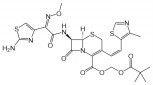 Cefditoren Pivoxil - TOKU-E