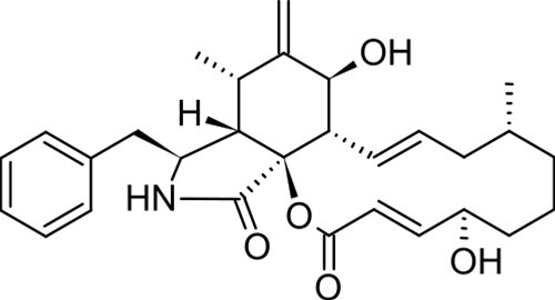 Cytochalasin B-cytological research-TOKU-E
