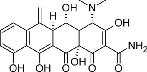 Methacycline - TOKU-E