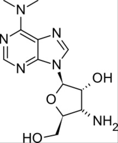 Puromycin Aminonucleoside-selection antibiotic-TOKU-E