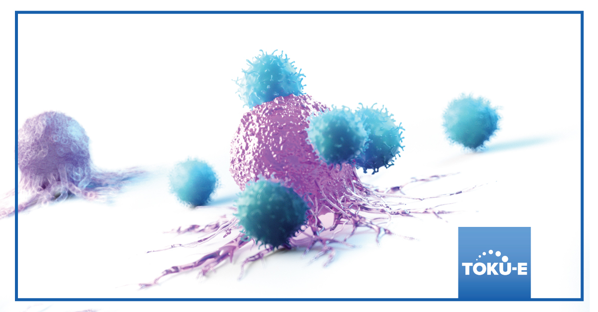 New use for old compound: Novobiocin used in fight against cancer - TOKU-E