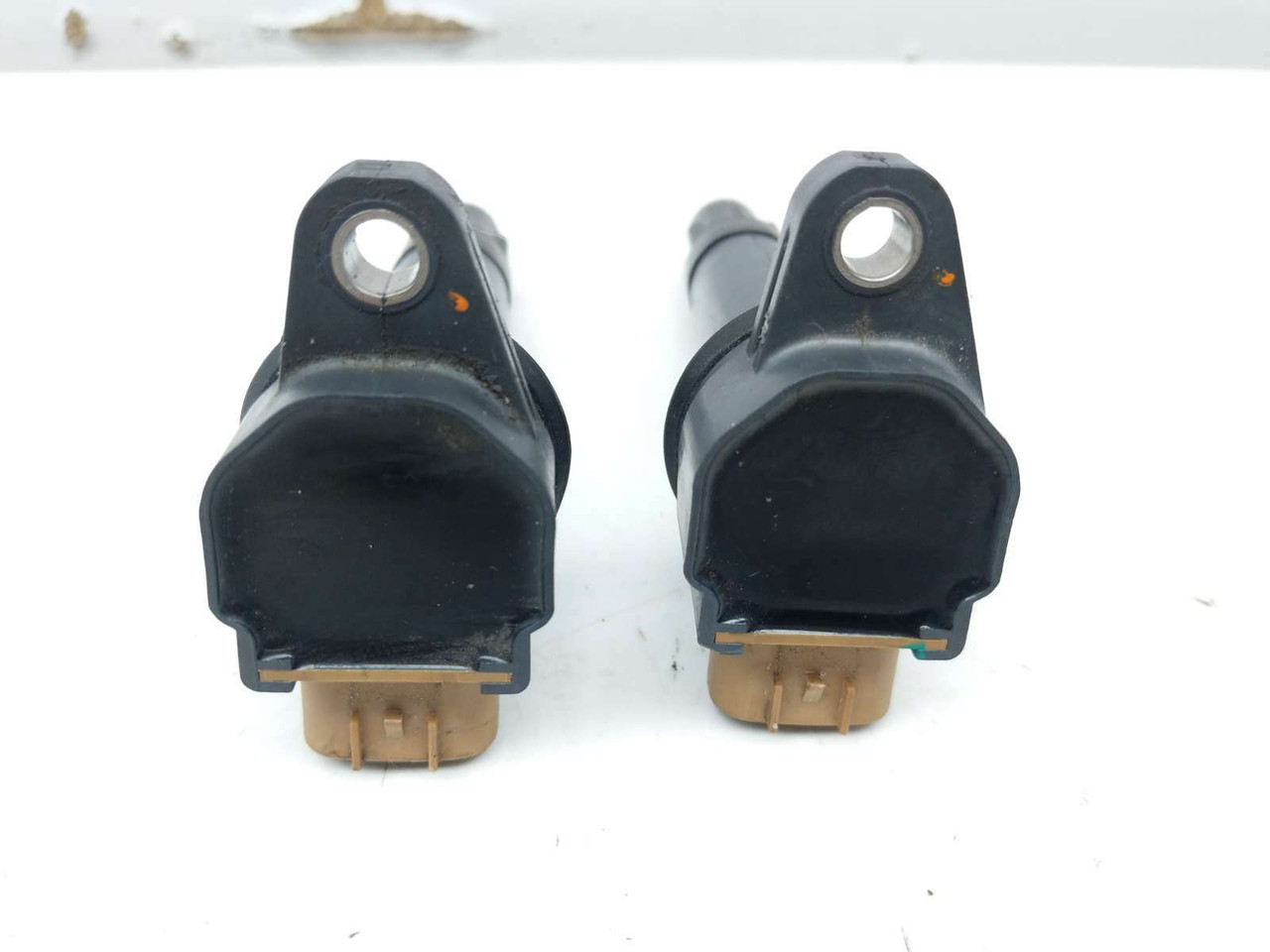 19 Can Am Ryker Spyder Ignition Coil Plug Pack - Sun Coast Cycle Sports ...