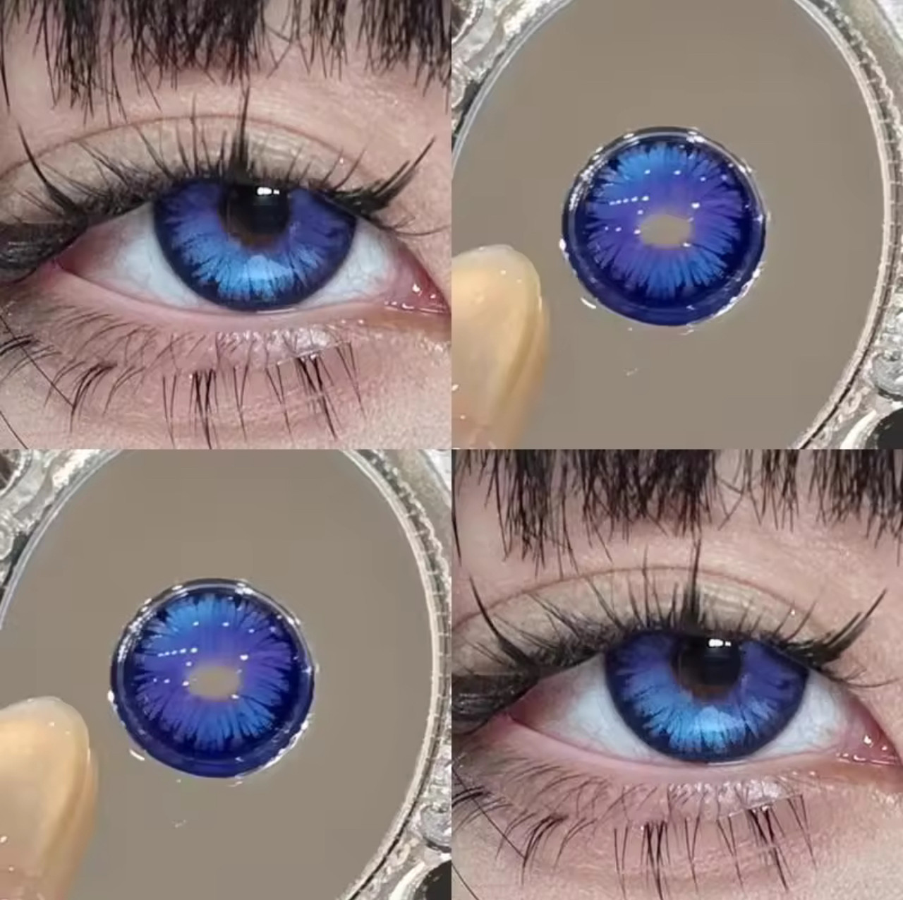 (Graded) 14.5MM Butterwing Blue Color Contact Lens - Ifairycon