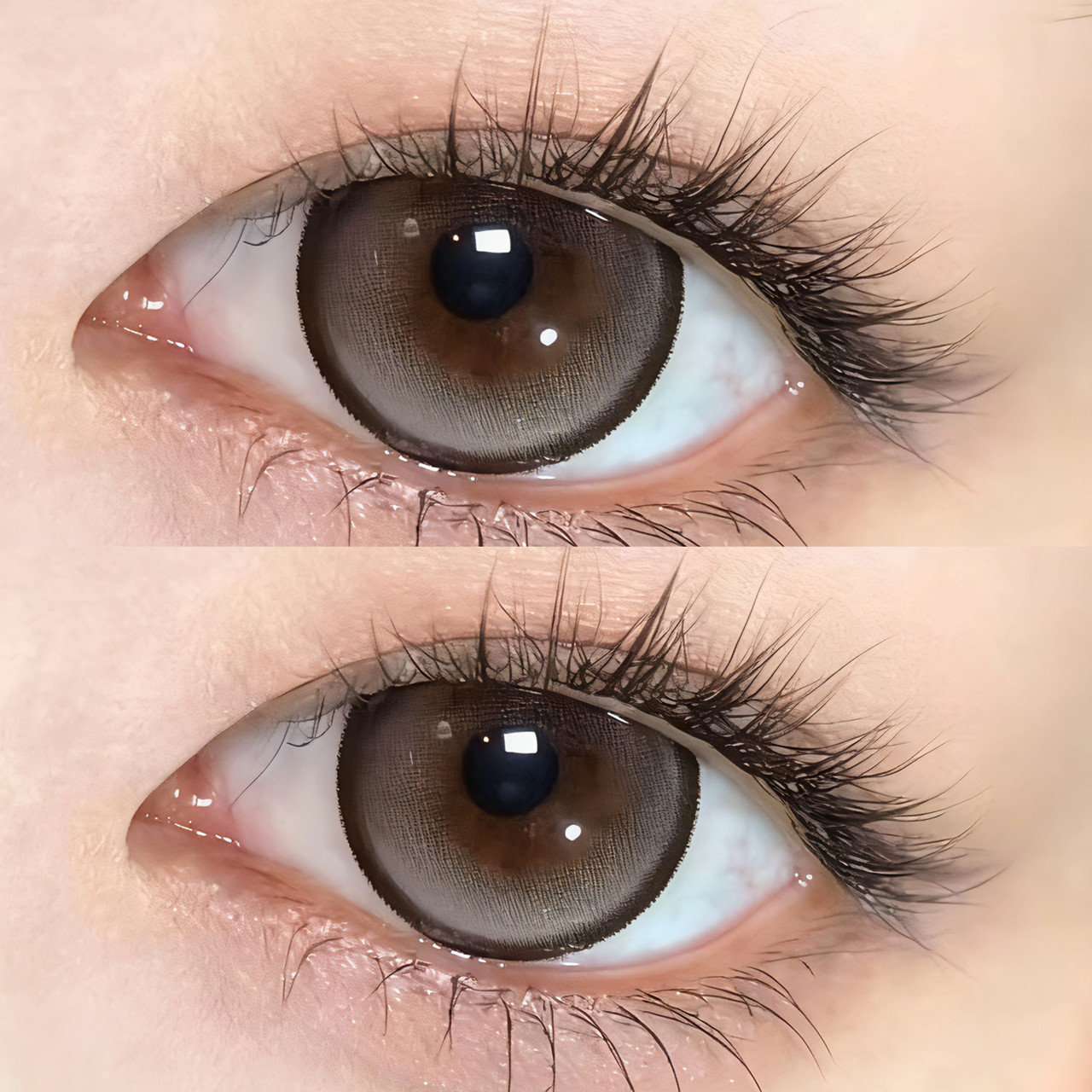 14.5MM Milk Tea Brown Color Contact Lens - Ifairycon